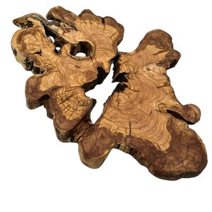 Olive Tree Root Slice for You to Create Unique Design , Olive Slices ...