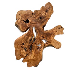 Large Olive Tree Root Sheet , Live Edge Root Slice With Which You Can ...