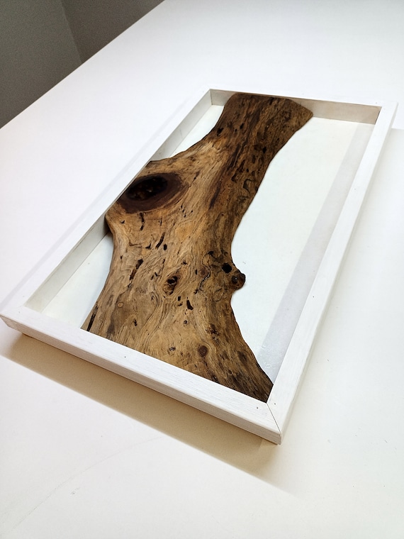 Walnut Tree Wood Slab Walnut Tree Wood Slice Wood Burl - Etsy