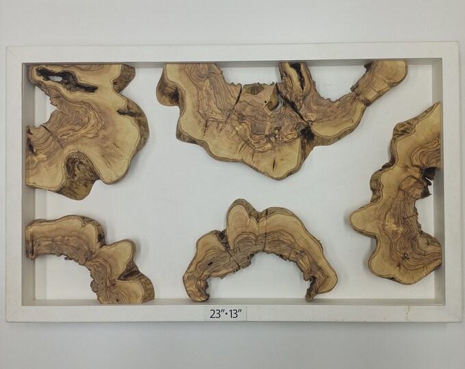 Pieces of Olive Root for Design , 5 Slices of Olive Planks , Wood Slice ...