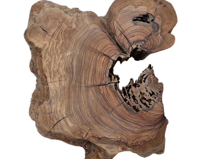 Natural Olive Tree Slice With Unique Pattern , Olive Tree Suitable for ...
