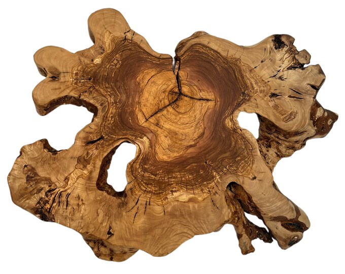 DIY Olive Tree Root Slice, Olive Wood Sheet for Art Making, Wooden ...