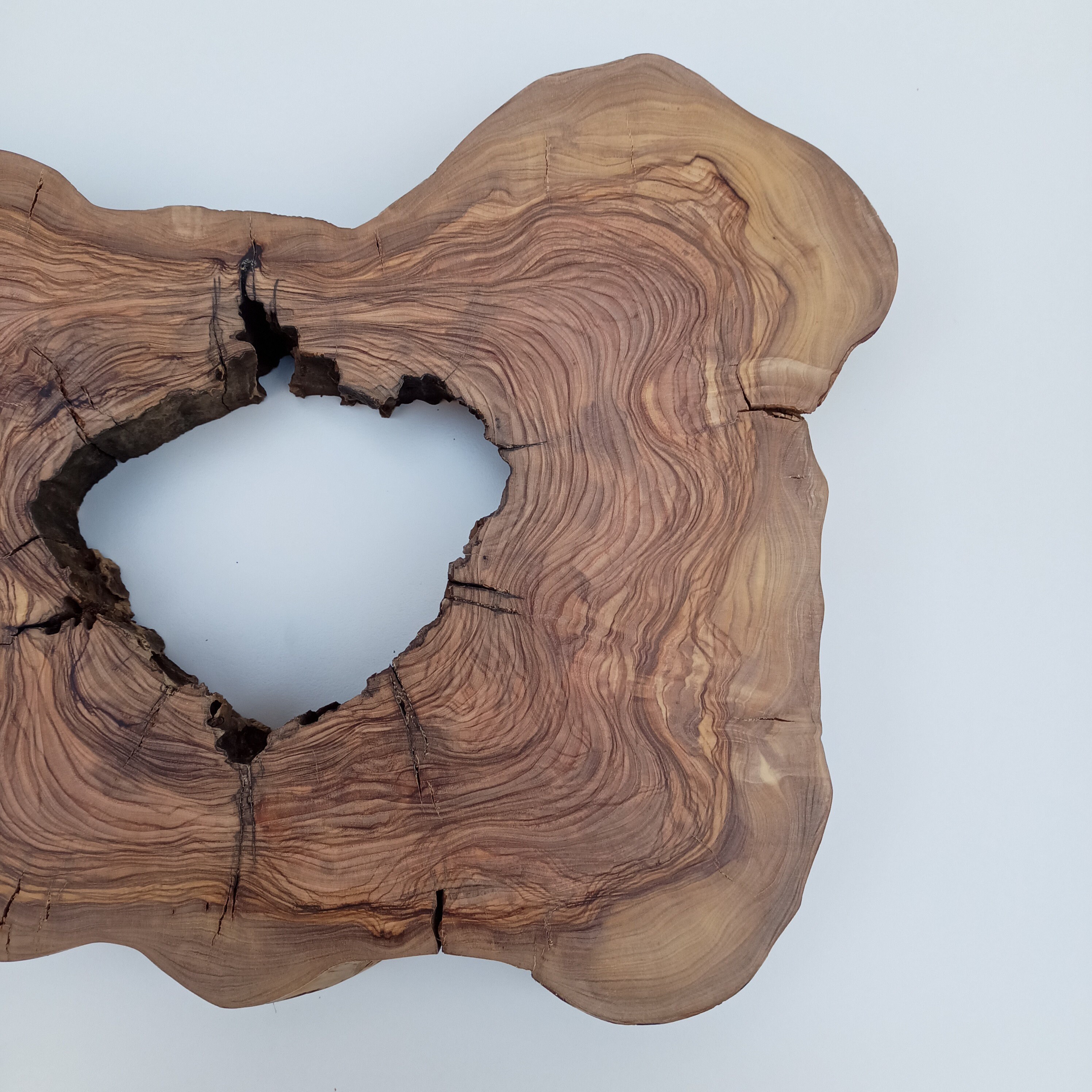 Unique Olive Tree Slice That You Can Use in Projects Olive - Etsy