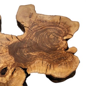 Natural Olive Tree Slice With Unique Pattern , Olive Tree Suitable for ...