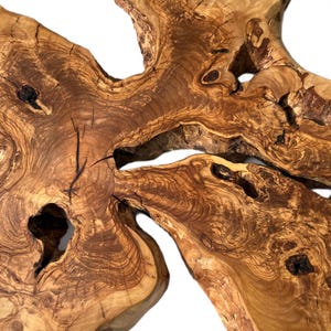 Large Olive Tree Root Sheet , Live Edge Root Slice With Which You Can ...