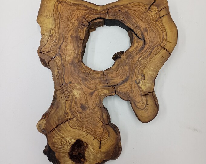 Unique Olive Tree Slice That You Can Use in Your Projects , Leveled and ...