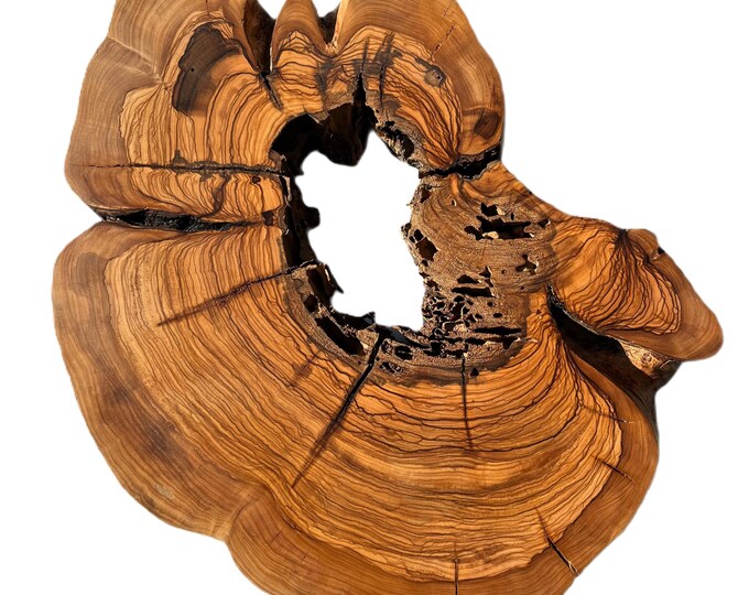 Unique Olive Tree Slices for Do-it-yourself and Project , Olive Wood ...