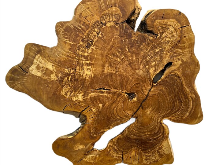 Unique Olive Slice for Epoxy, Olive Slice for Coffee Table and Clock ...