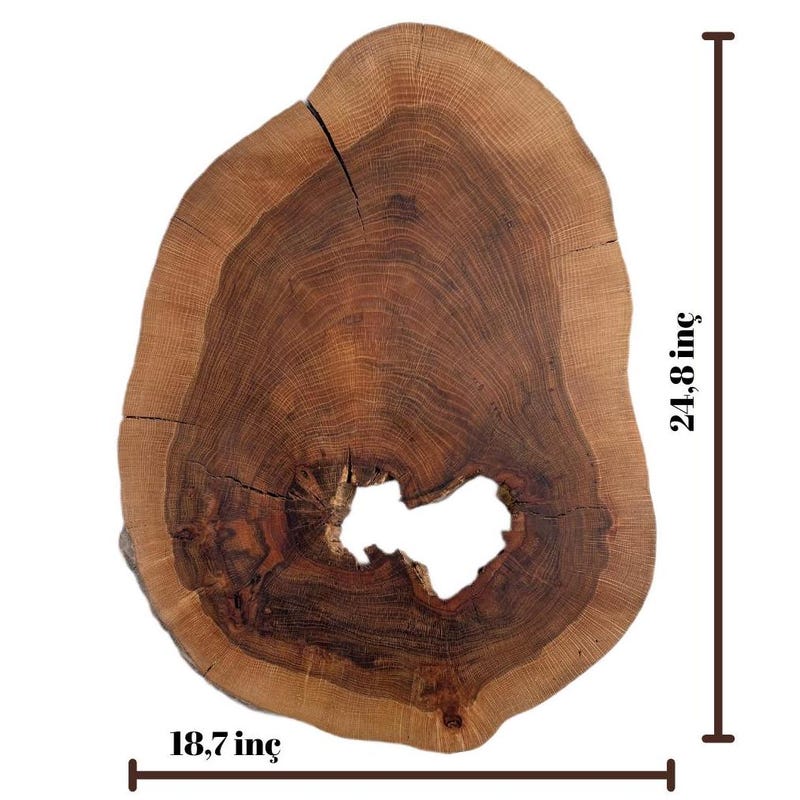 Oak Wood Slice - Etsy