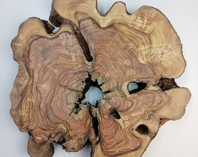 Olive Wood Root Slice, Wood Burl, Live Edge Olive Wood Slab, Olive ...