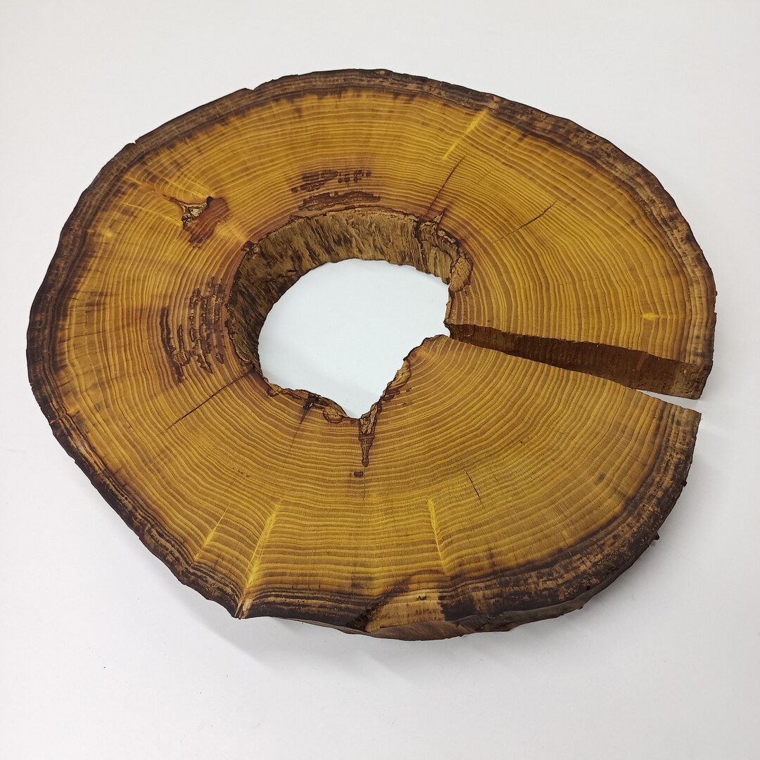 Mulberry Tree Slice for Making Epoxy , Unique Mulberry Tree Sheet ...