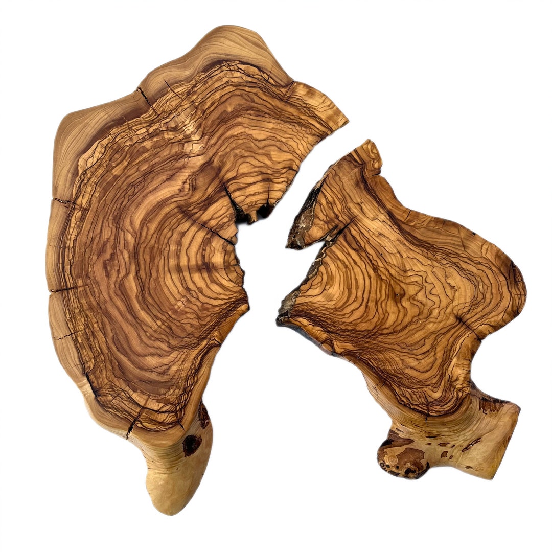 Unique Beautiful Trunk Olive Slice for Coffee Table Making , Olive Tree ...