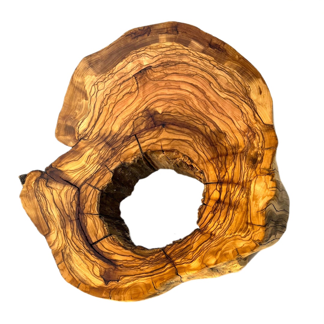 Trunk Olive Slice That You Can Use in Your Projects, Olive Tree, Live ...