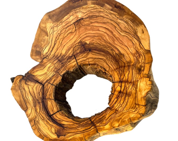 Trunk Olive Slice That You Can Use in Your Projects, Olive Tree, Live ...