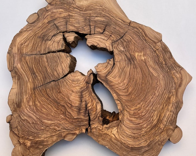 Unique Beautiful Trunk Olive Slice for Coffee Table Making , Olive Tree ...