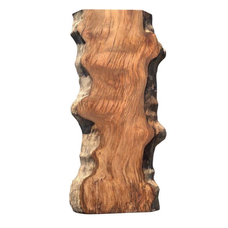 Sycamore Tree Slice – Natural Live Edge Wood Slab for Decor, Epoxy ...