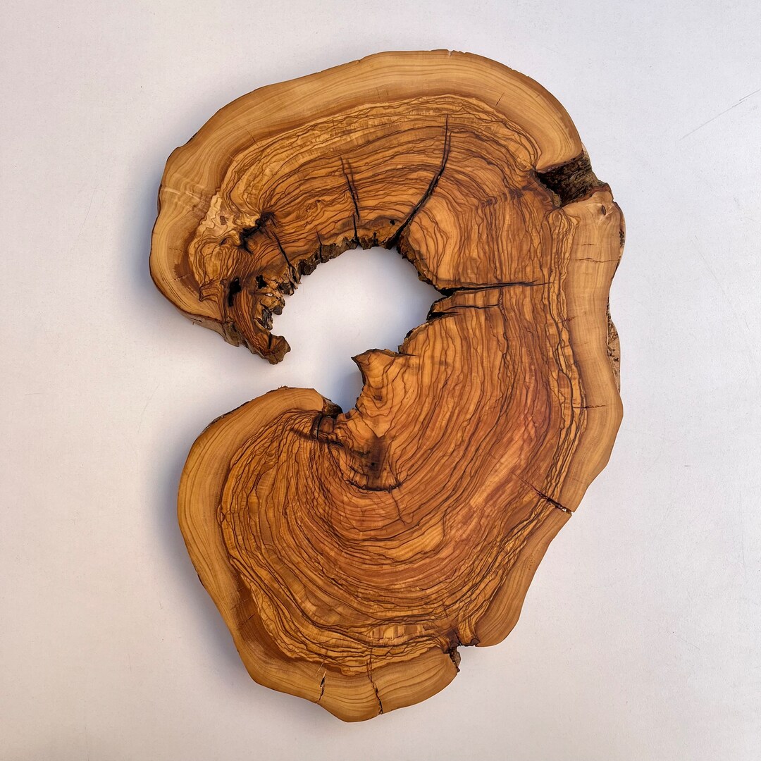 Unique Olive Slice for Design , Olive Wood , Live Raw Live Edge Olive ...