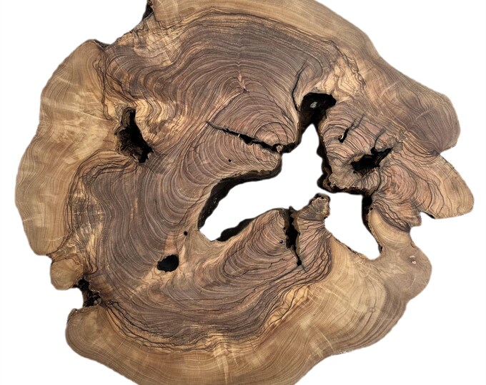 Natural Olive Tree Slice With Unique Pattern , Olive Tree Suitable for ...
