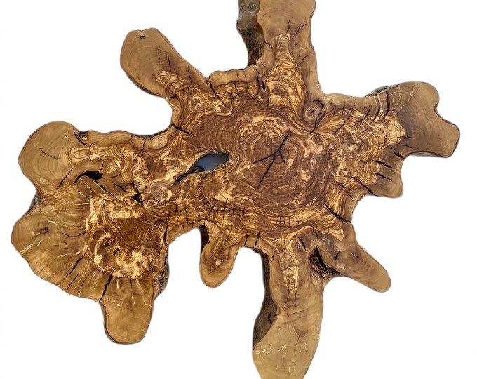 Olive Tree Root Slice for Your Unique Designs , Wood Slice for Epoxy ...