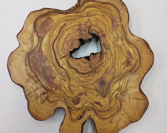 Olive Tree Slice That You Can Use in Different Projects , Unique Wooden ...