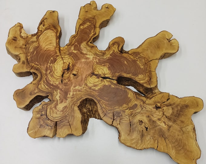 Olive Tree Root Slice for You to Create Unique Design , Olive Slices ...
