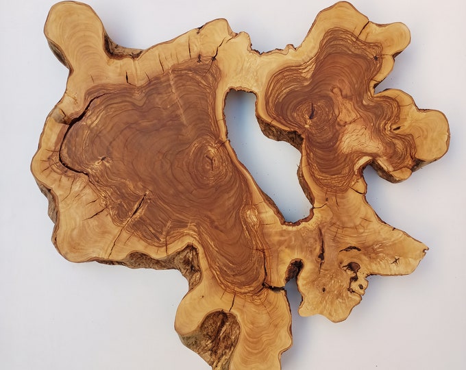 Nicea Underground Unique Olive Tree Root Slice, Olive Tree Sheet for ...
