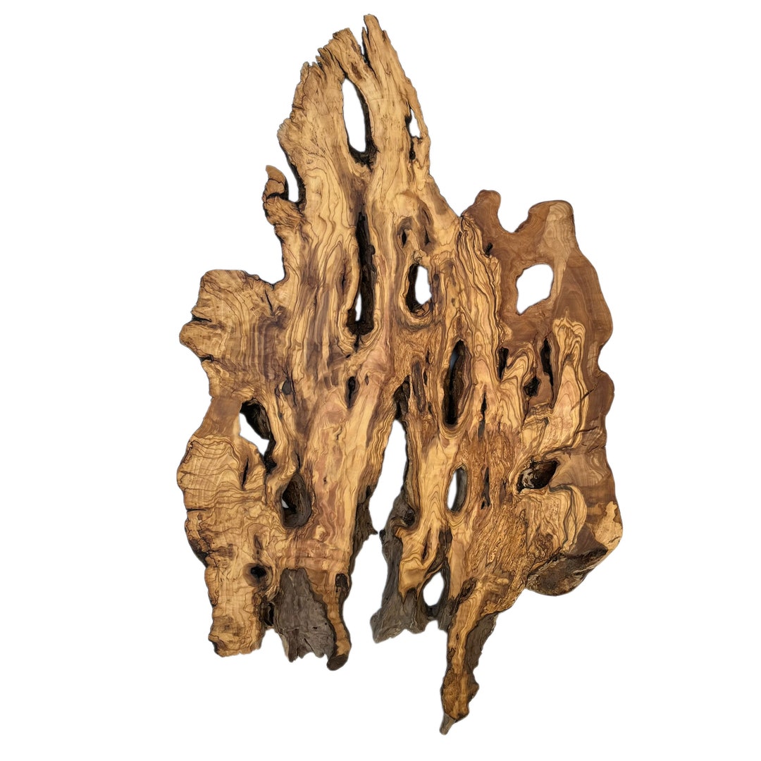 Irregular Shaped Olive Tree Root Plates, Live Raw Live Edge Olive Slice ...
