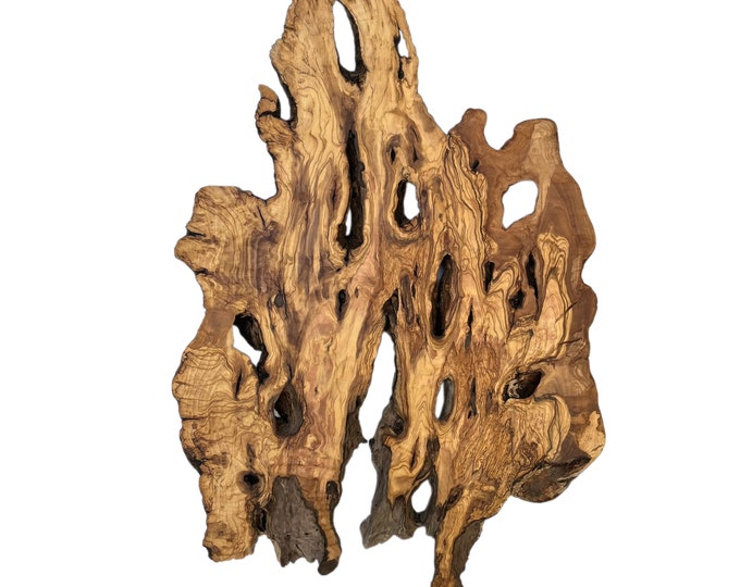 Irregular Shaped Olive Tree Root Plates, Live Raw Live Edge Olive Slice ...
