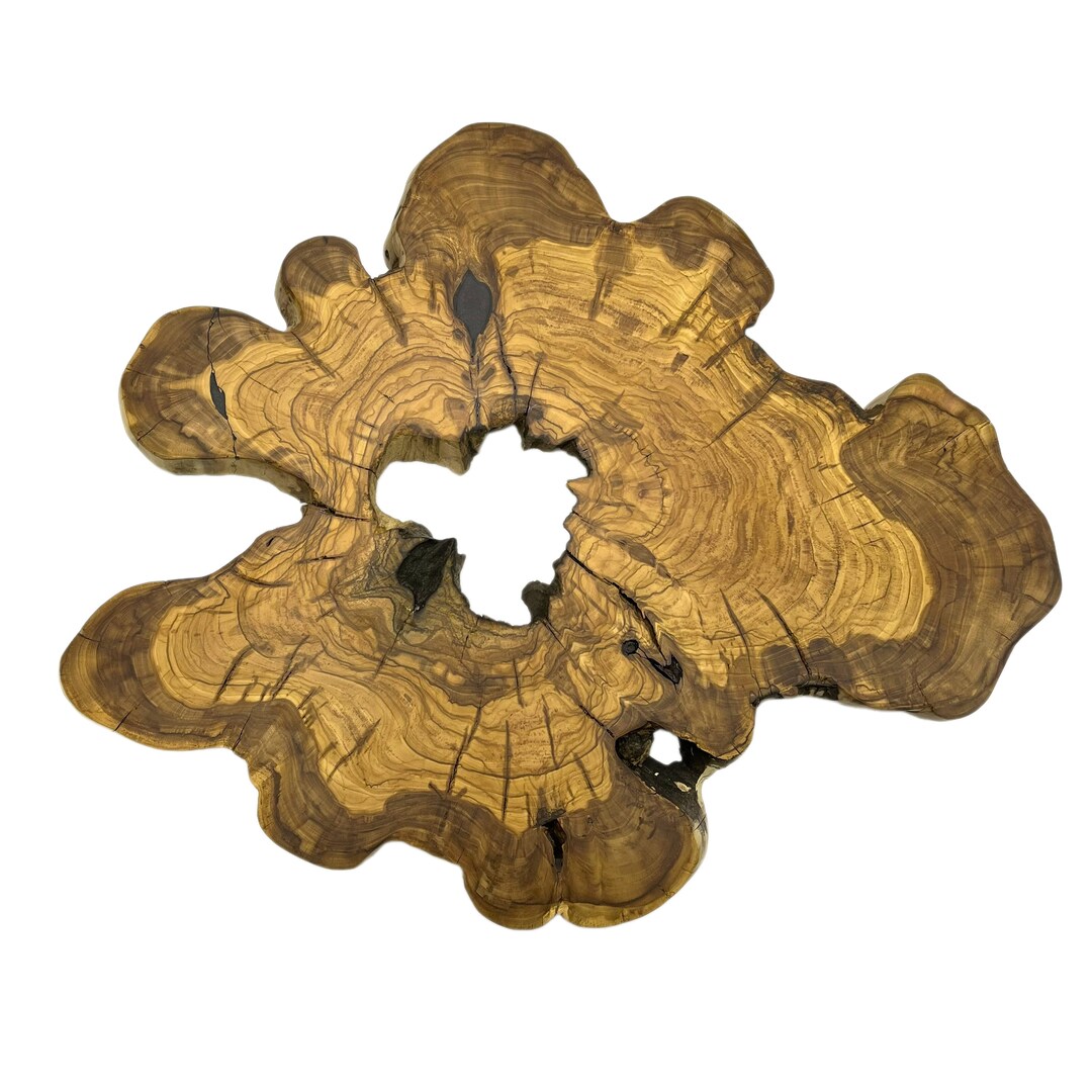 Unique Beautiful Trunk Olive Slice for Coffee Table Making , Olive Tree ...