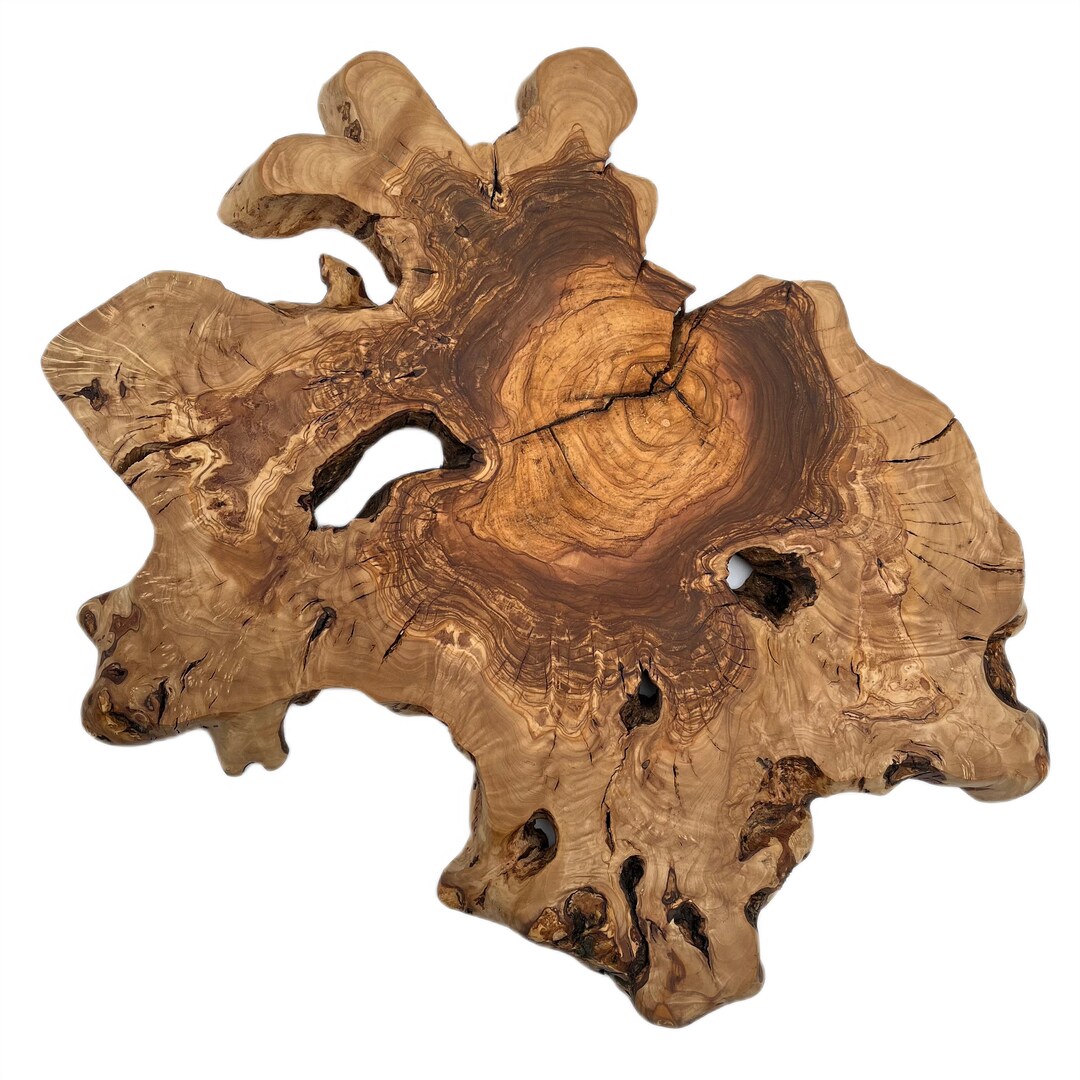 Olive Tree Root Slice, Olive Wood Sheet for Art Making, Natural Edge ...