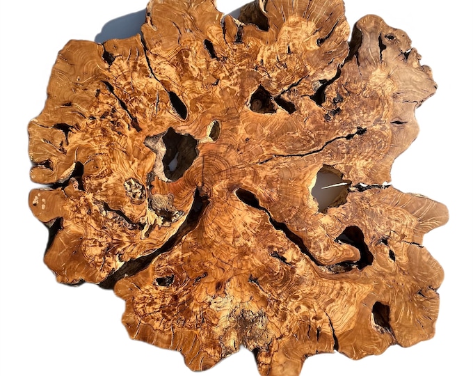Live Edge Olive Wood Slice: Unique Burl Plate, Art Project Board - Etsy