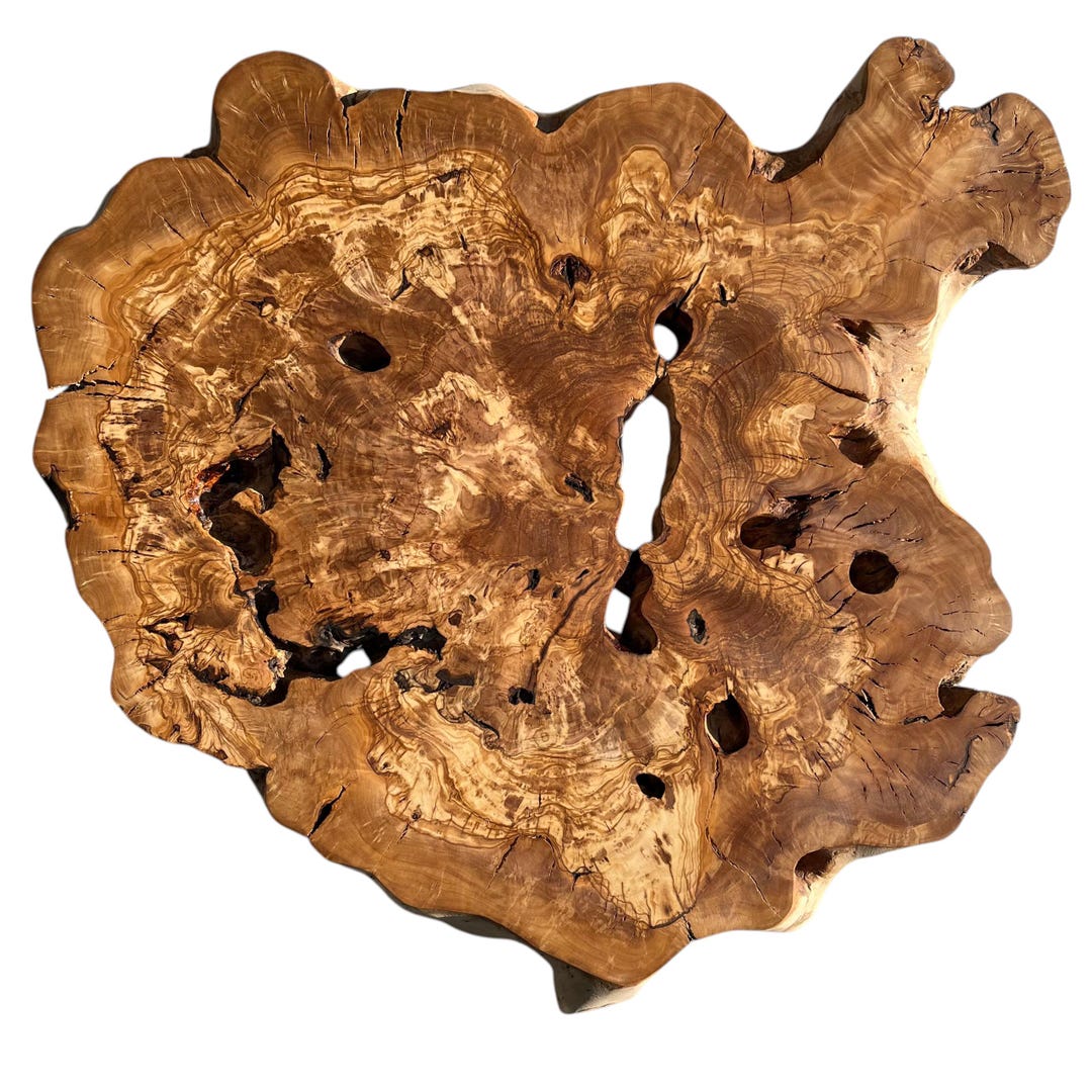 Large Olive Wood Root Slice: Epoxy Art, Live Edge Sheet (25x27 In - Etsy