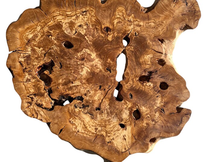 Large Olive Wood Root Slice: Epoxy Art, Live Edge Sheet (25x27 In - Etsy