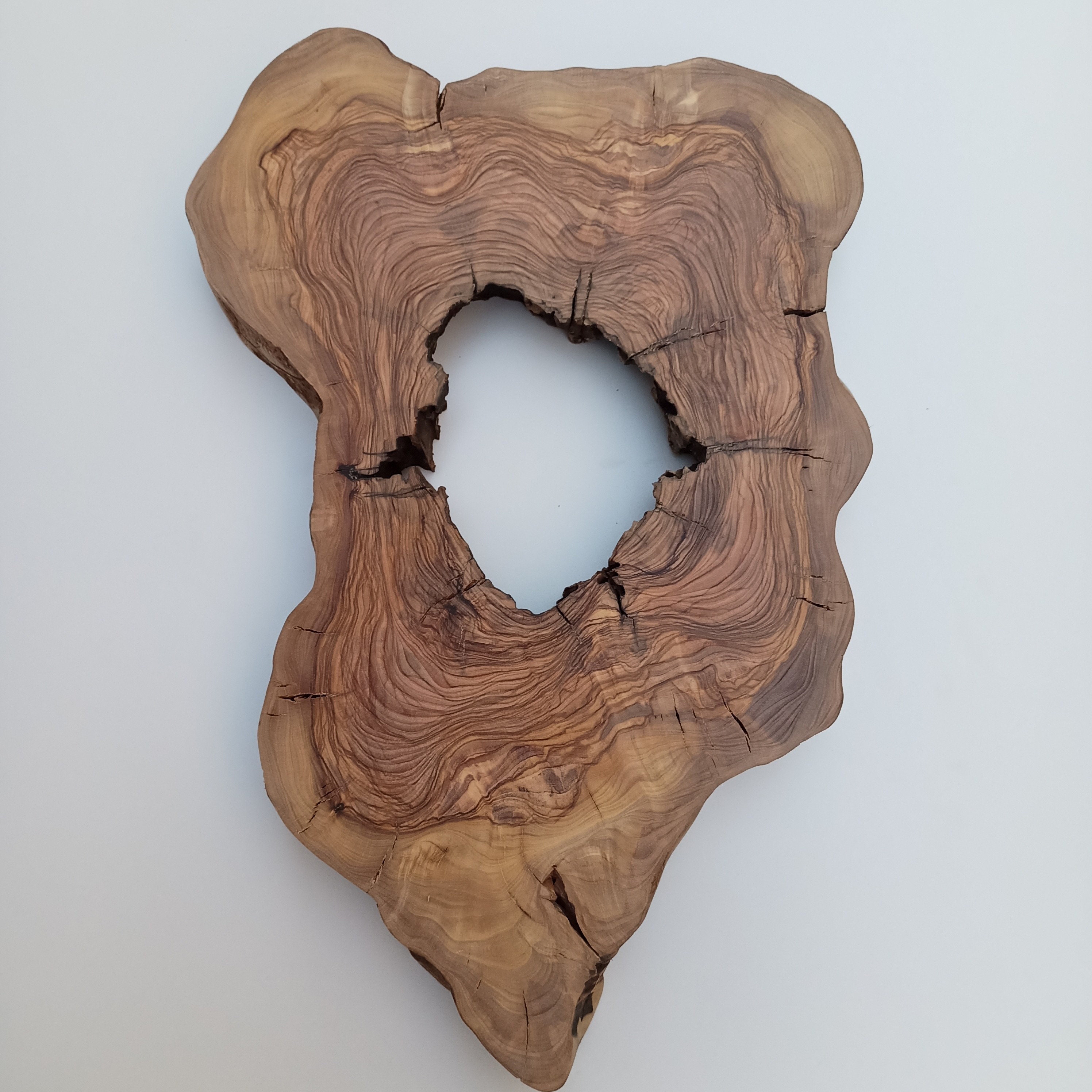 Unique Olive Tree Slice That You Can Use in Projects Olive - Etsy