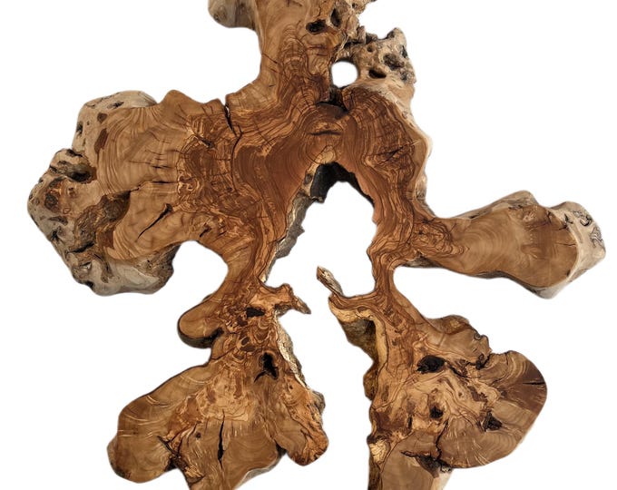 Olive Root Slice for Epoxy Project, Live Edge Olive Tree Slab, Natural ...
