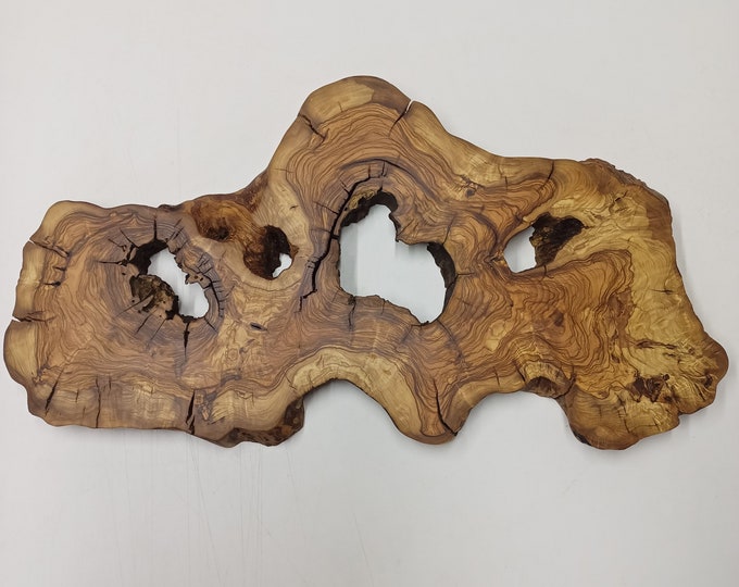 Big Olive Tree Slice for Project , Wonderful Olive Tree Slice Suitable ...