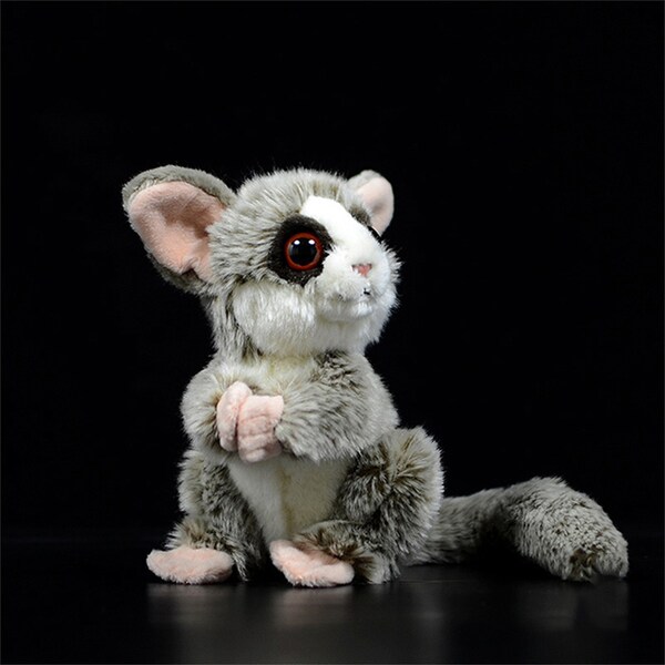 Galago - Etsy