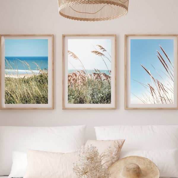 Sea Grass - Etsy