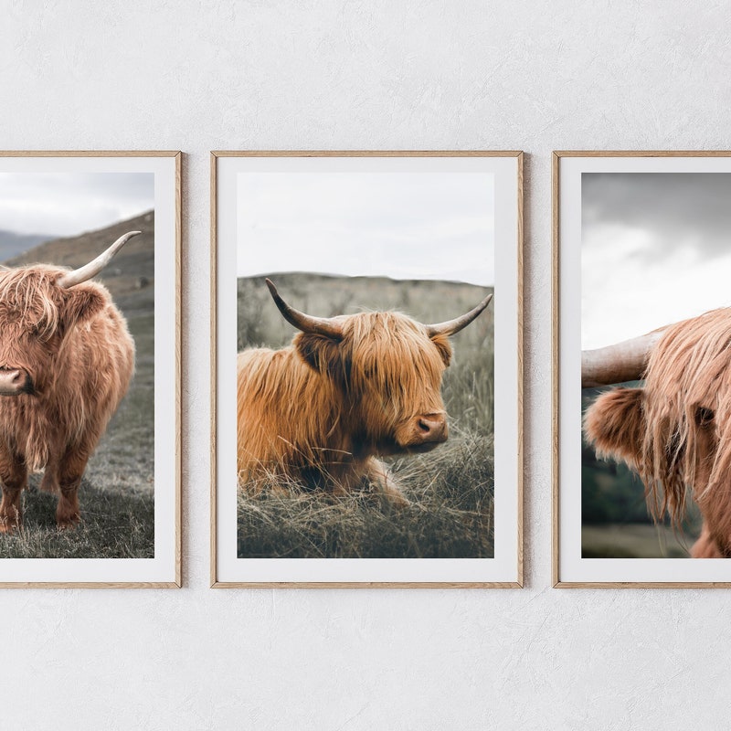 Three Cows - Etsy