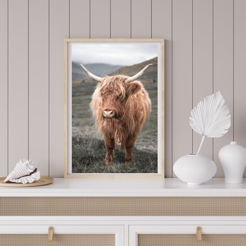 Highland Cow Gallery Wall Set of Three, Nature Wall Art, Digital ...
