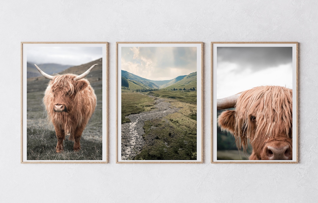 Highland Cow Gallery Wall Set of Three, Nature Wall Art, Digital ...