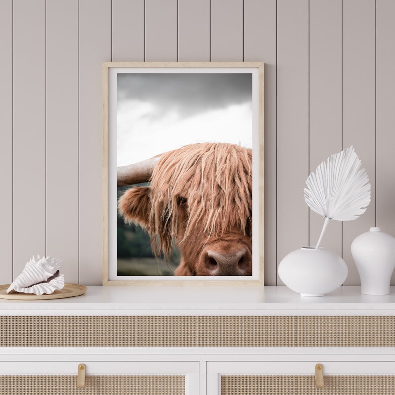 Highland Cow Gallery Wall Set of Three Nature Wall Art - Etsy