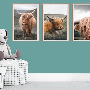 Highland Cow Gallery Wall Set, Set of Three Prints, Digital Download ...