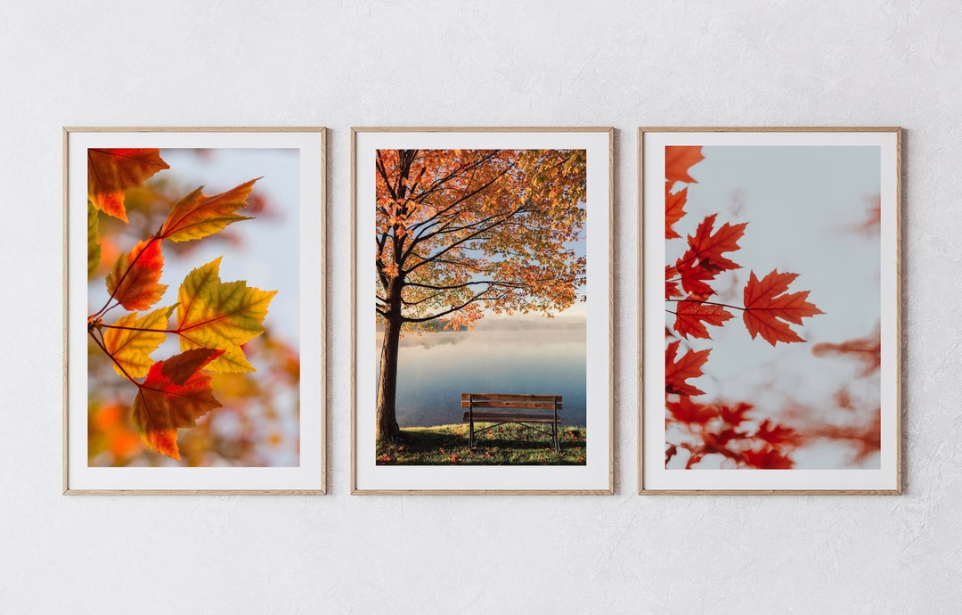 Fall Gallery Wall Set, Autumn Wall Art, Digital Download, Tree ...