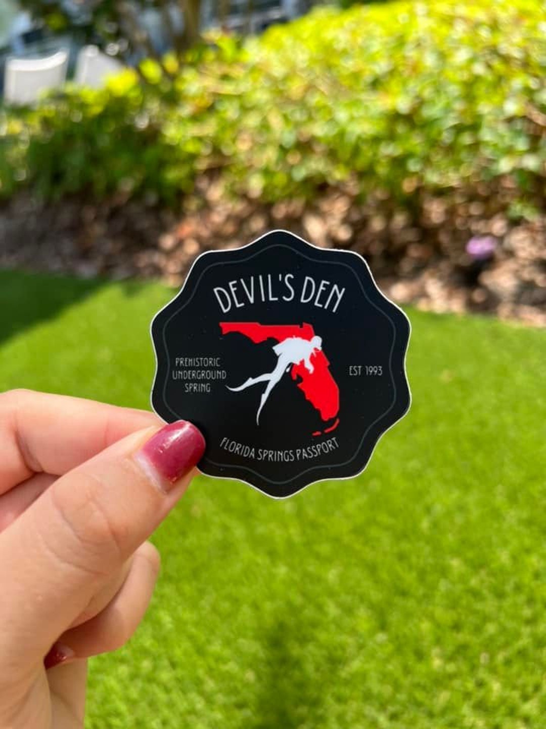 Devil's Den Scuba Decal Sticker - Etsy