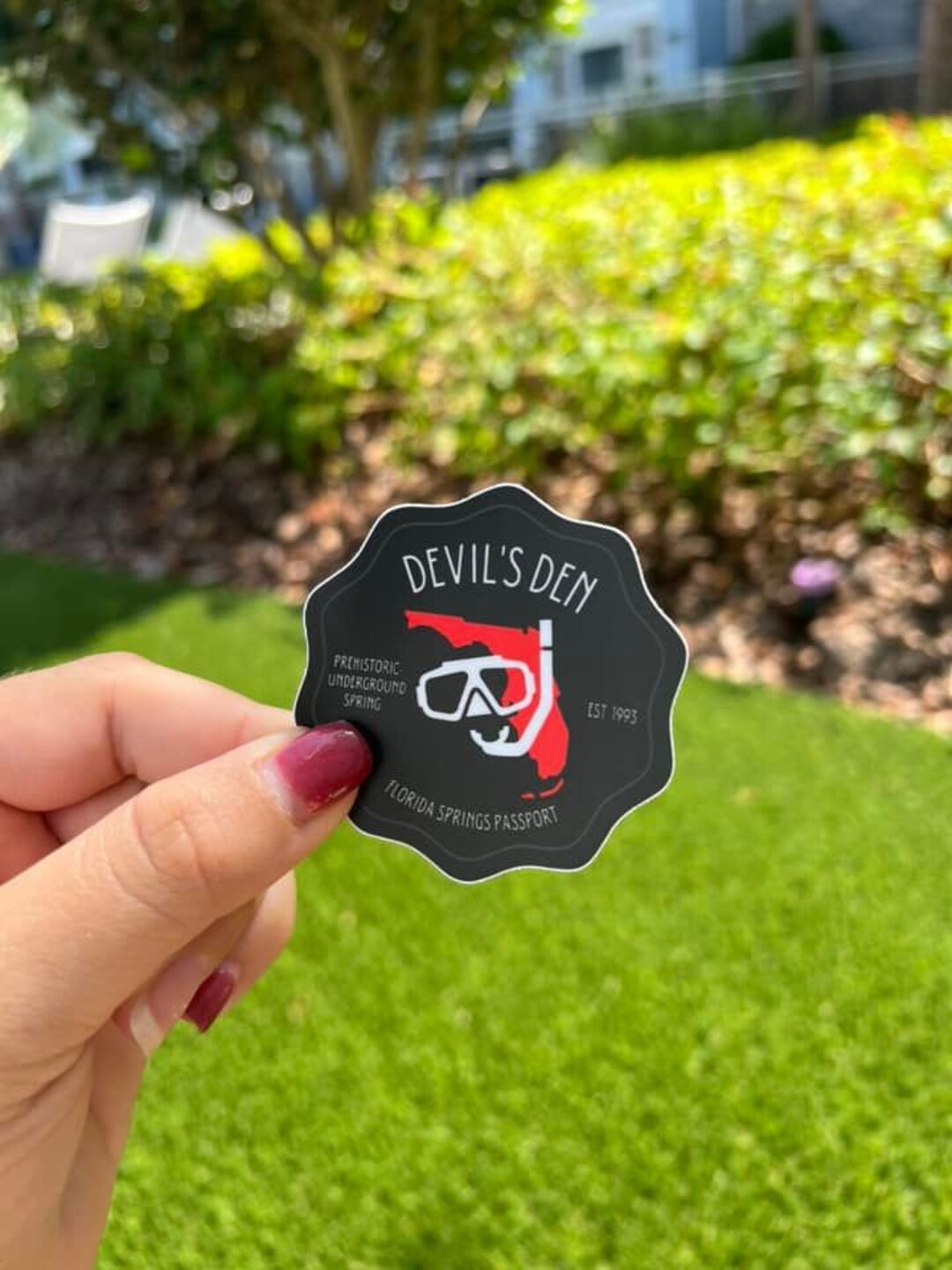 Devil's Den Snorkeling Sticker Decal - Etsy