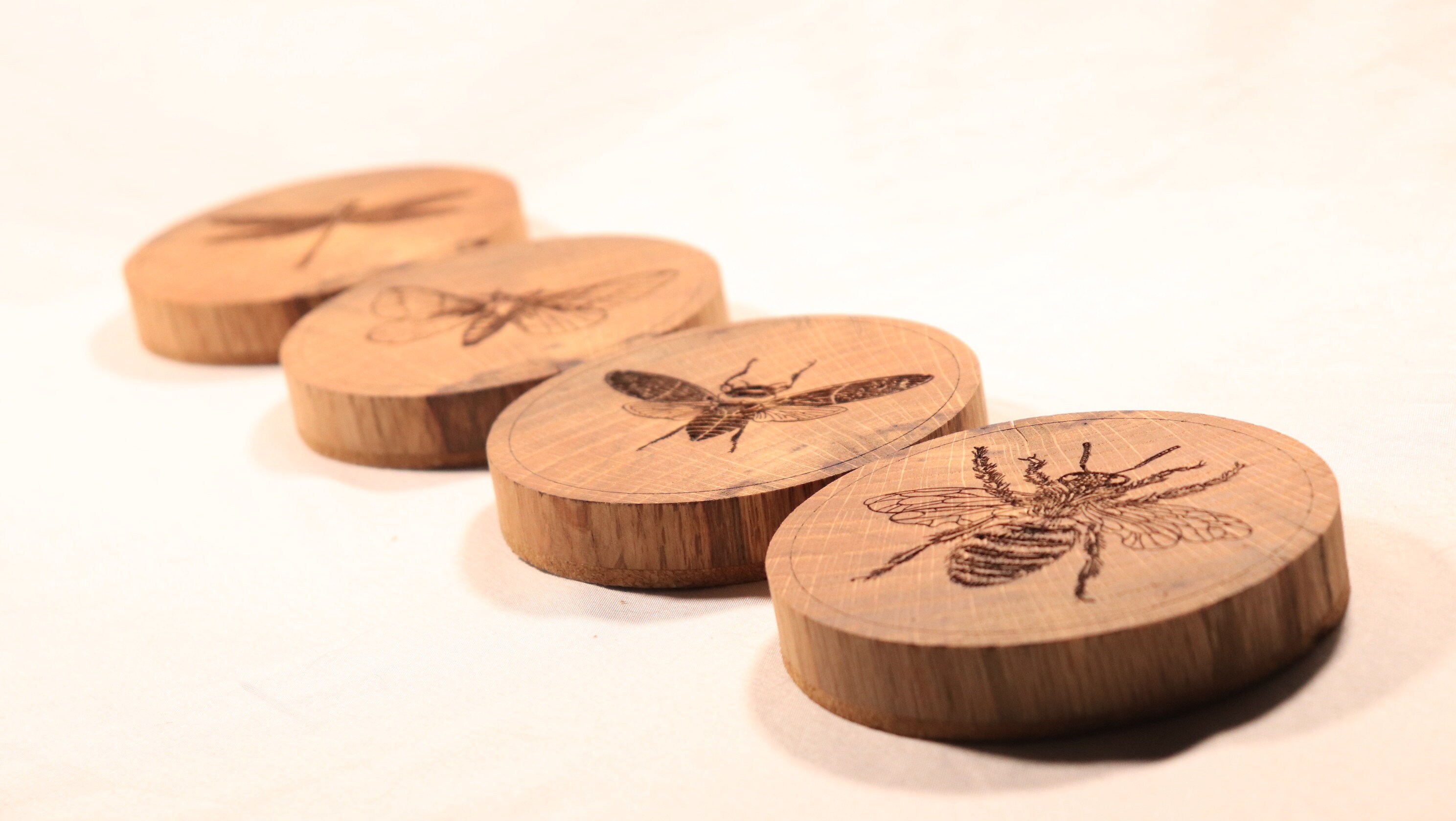 Set of 4 Insect Design Hardwood Oak Coasters Cork Bottom Handmade Lodge ...