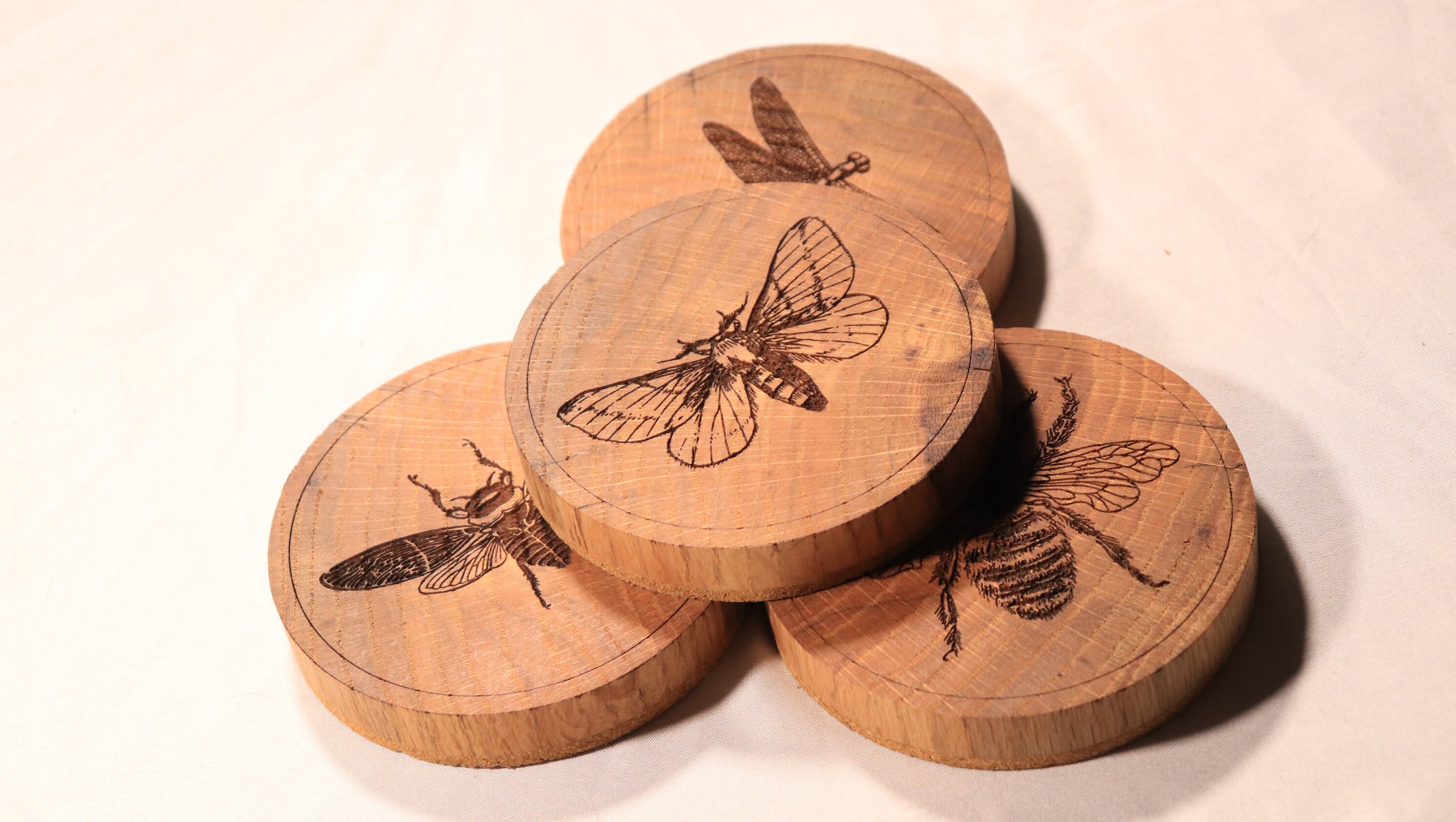 Set of 4 Insect Design Hardwood Oak Coasters Cork Bottom Handmade Lodge ...