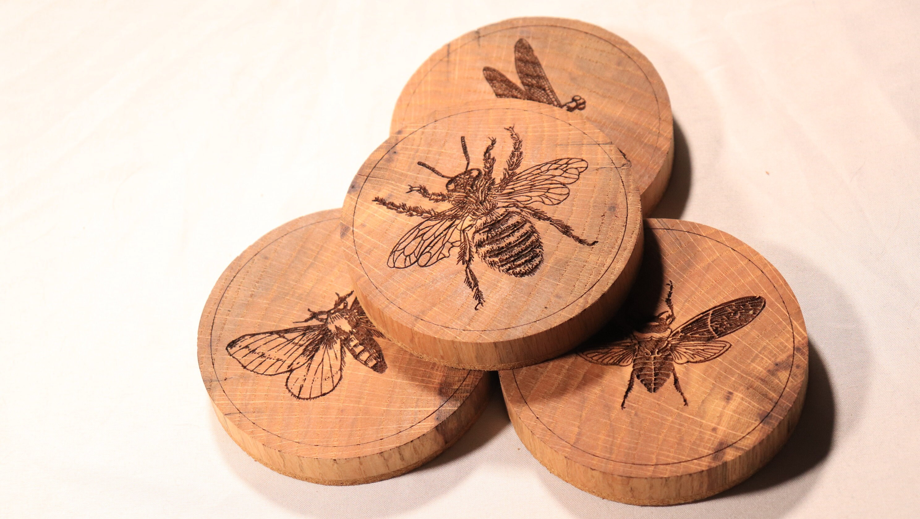 Set of 4 Insect Design Hardwood Oak Coasters Cork Bottom Handmade Lodge ...