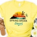 We Are on A Break T-shirt, Spring Vacation Shirt, Spring Break Shirt ...